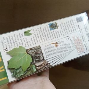 Other | New Fandex Tree Guide Identify Leaf Bark Seeds Nature Reference ...